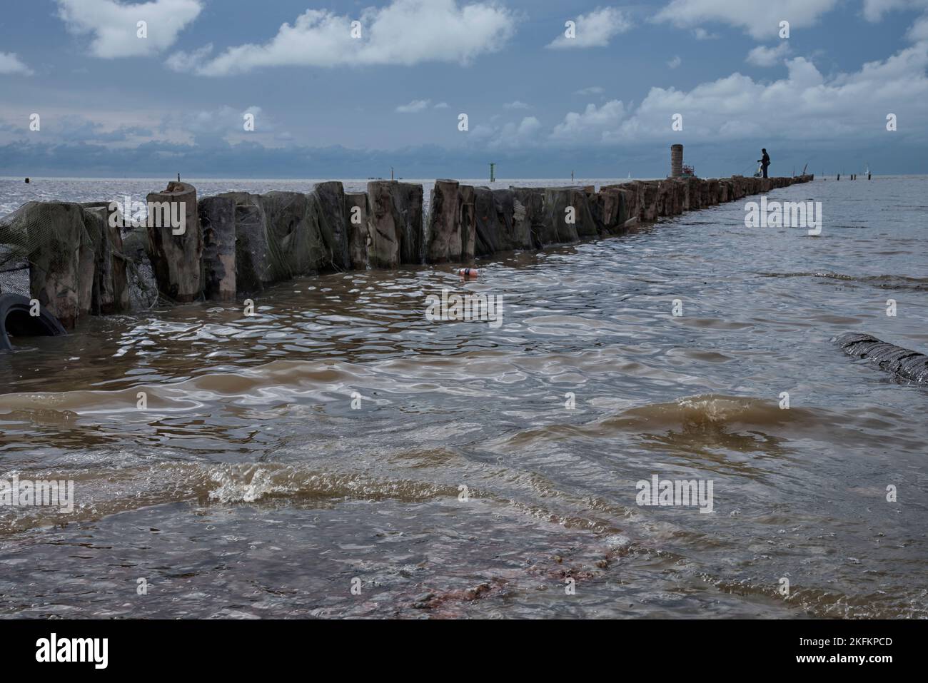 pile in a row of log jetty by the sea Stock Photo - Alamy