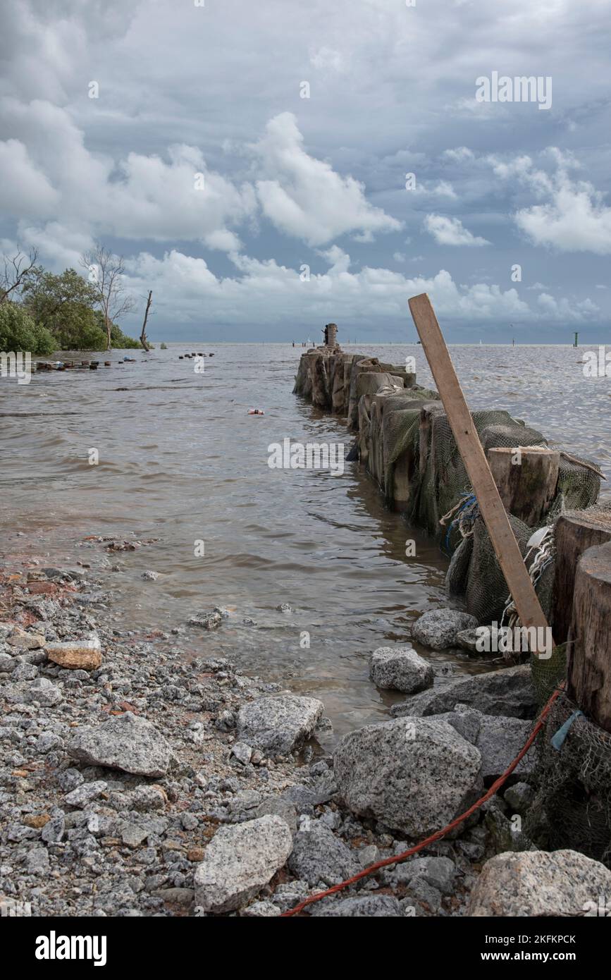 pile in a row of log jetty by the sea Stock Photo - Alamy