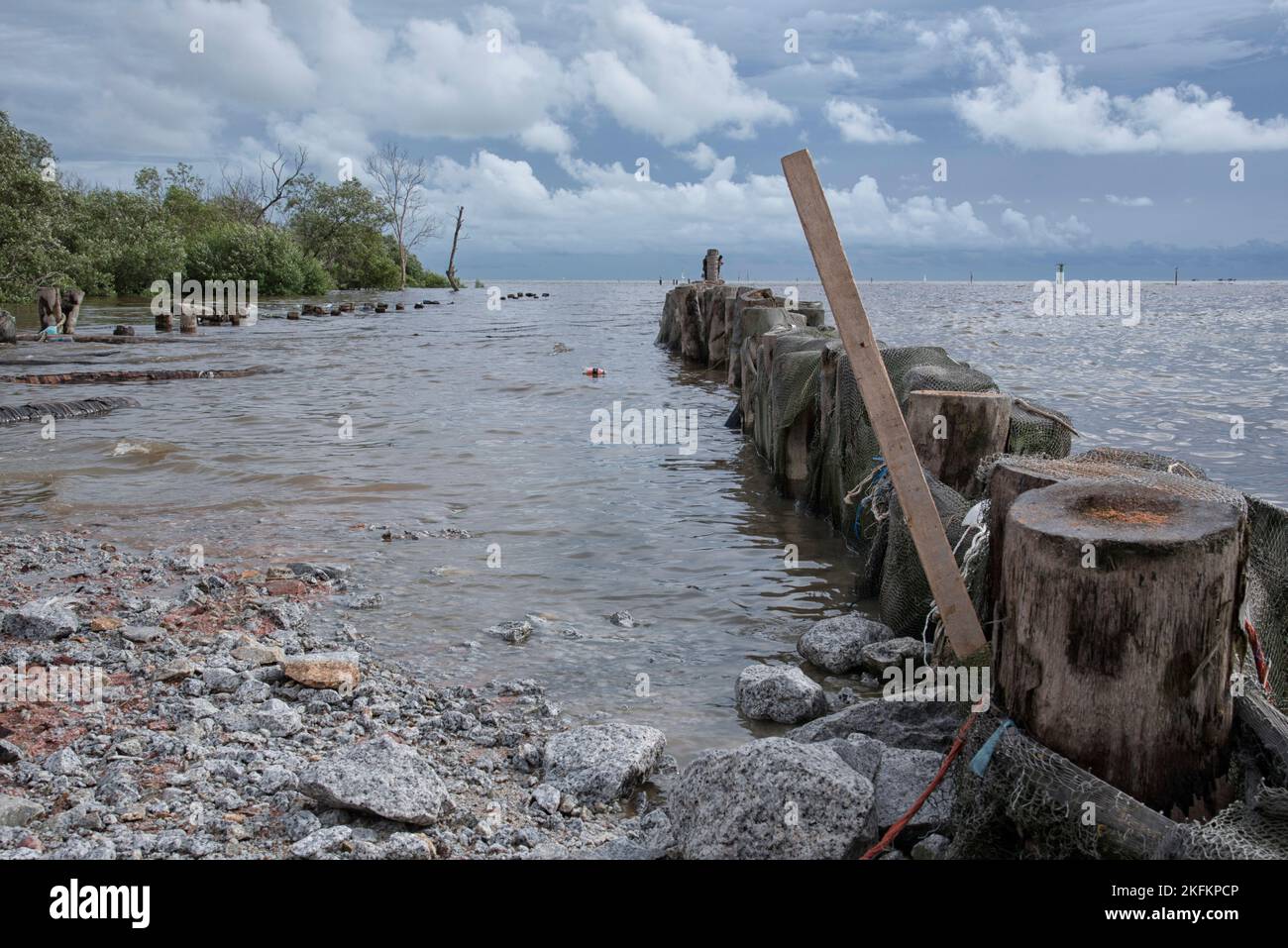 pile in a row of log jetty by the sea Stock Photo - Alamy