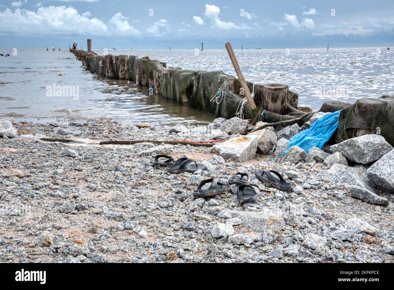 pile in a row of log jetty by the sea Stock Photo - Alamy
