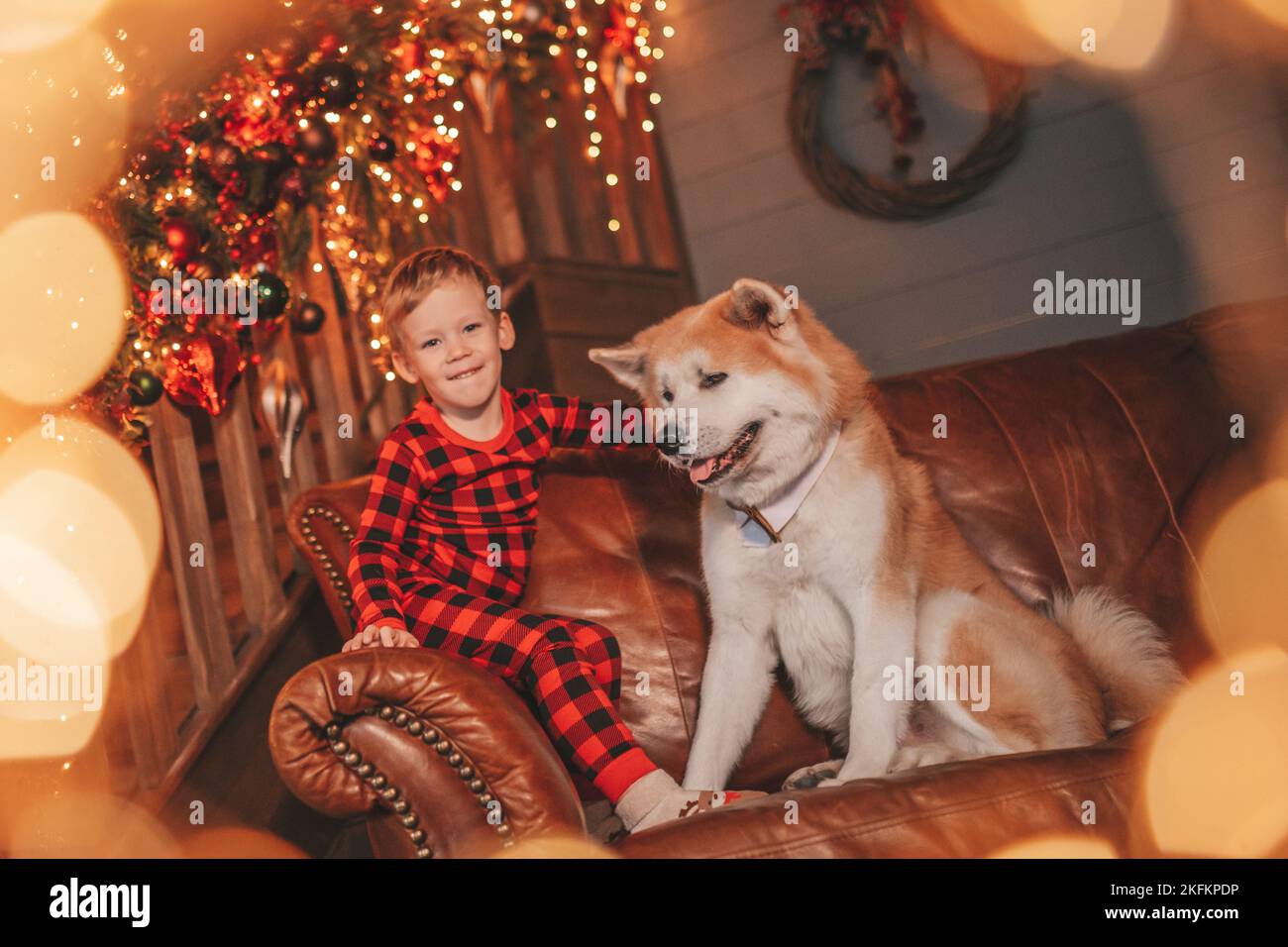 Smile small child having fun with dog waiting for miracle Santa at noel ...