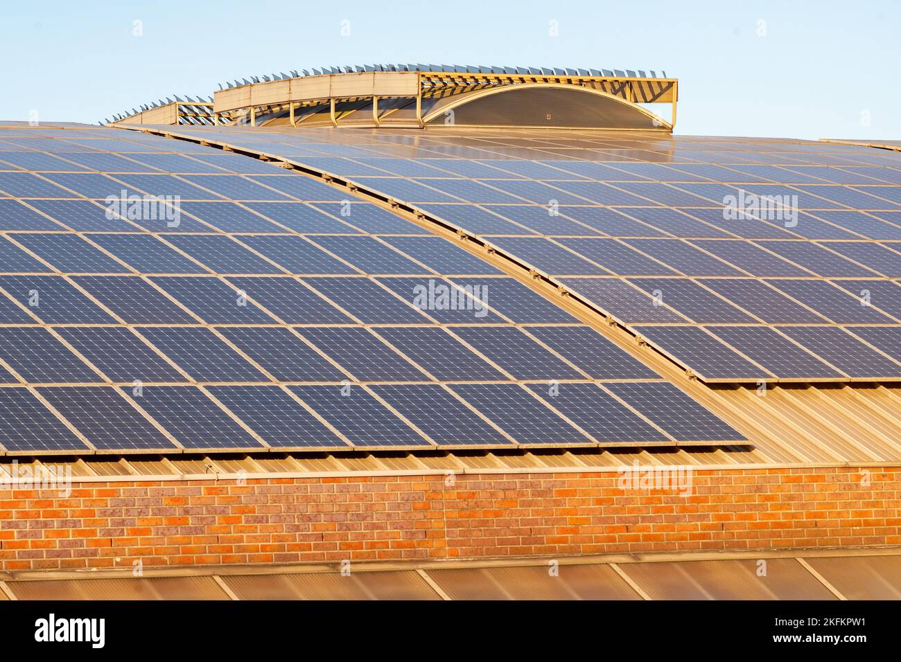 A building rooftop covered entirely with blue solar panels in sunny ...