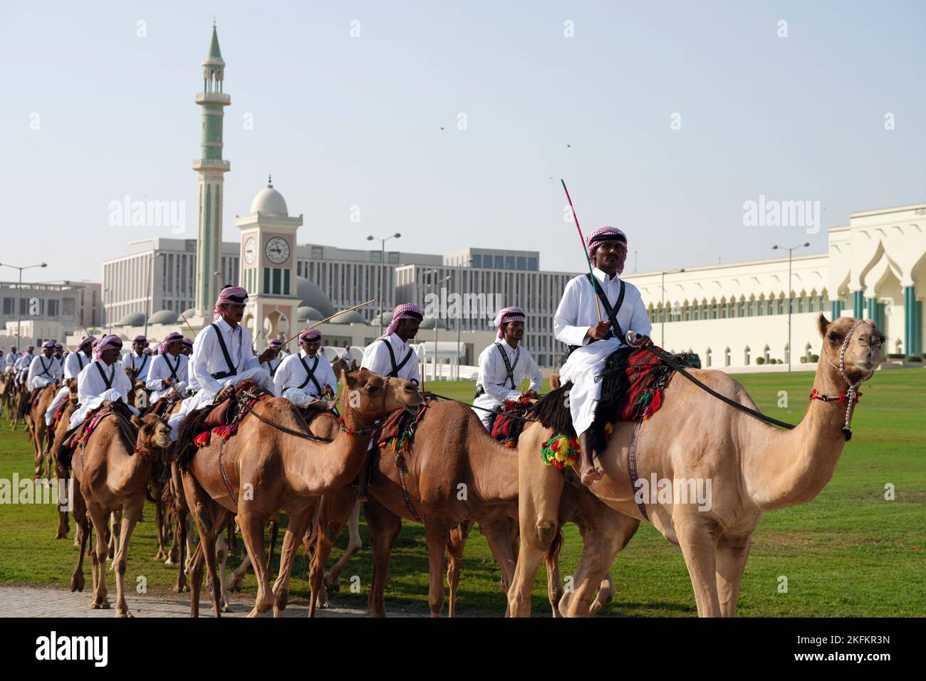 Camels and their riders during a morning exercise, Doha Corniche, ahead ...
