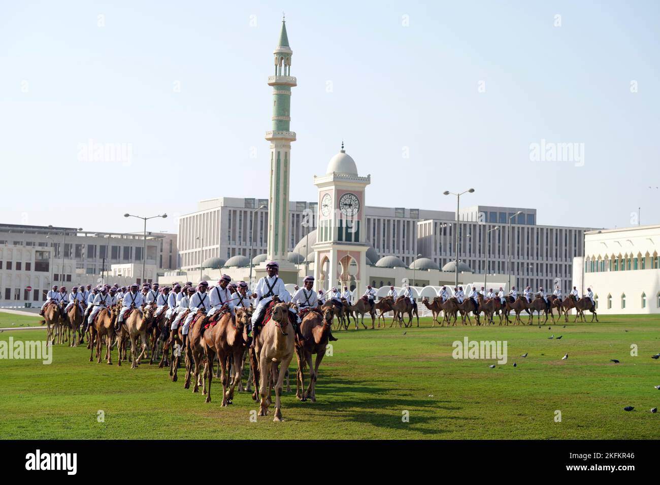 Camels and their riders during a morning exercise, Doha Corniche, ahead ...