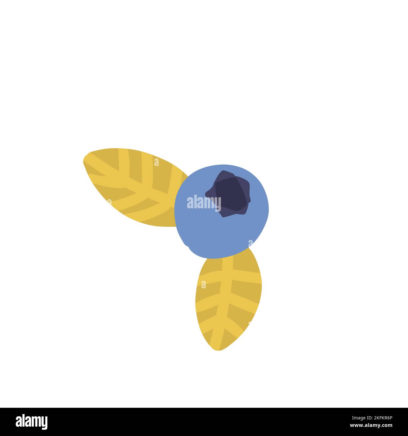 Blueberry vegetarian fresh snack. Blackberry healthy food. Vector vegan ...