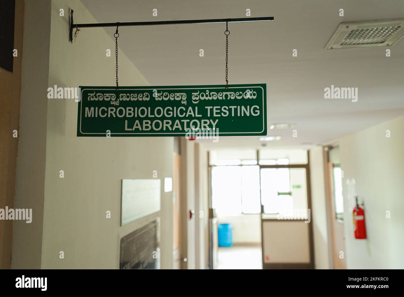 A low-angle closeup of microbiological testing laboratory green board ...