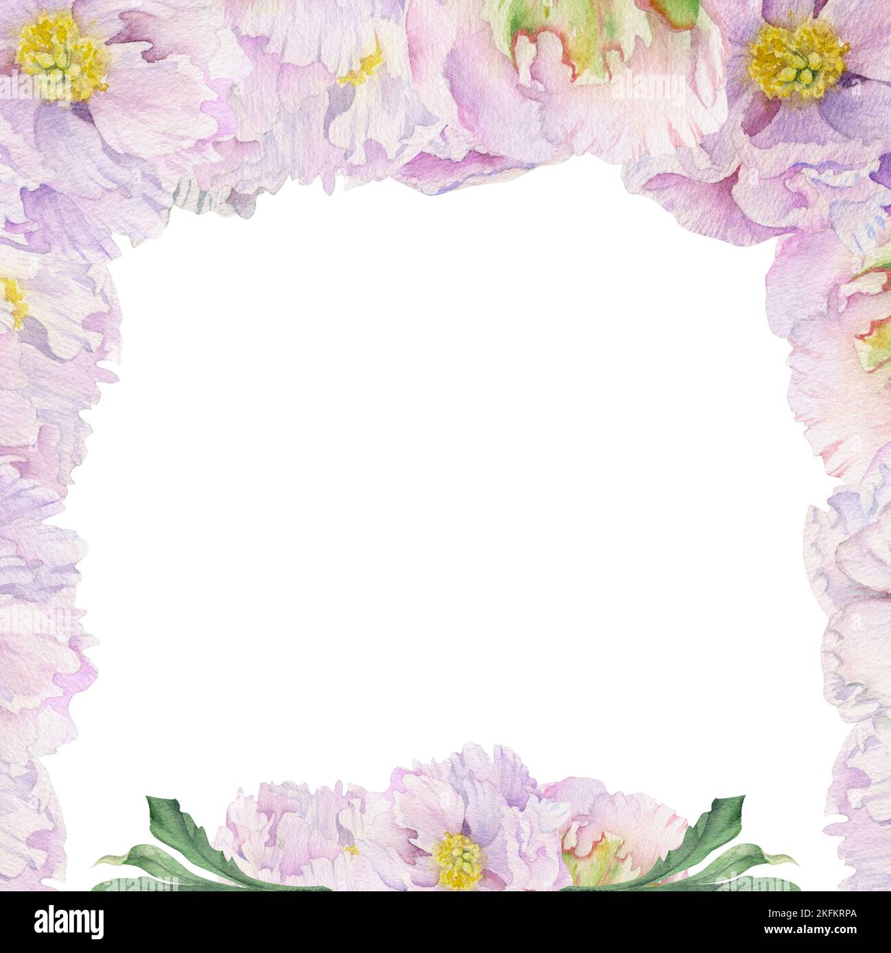 Watercolor square frame arrangement with hand drawn delicate pink peony ...