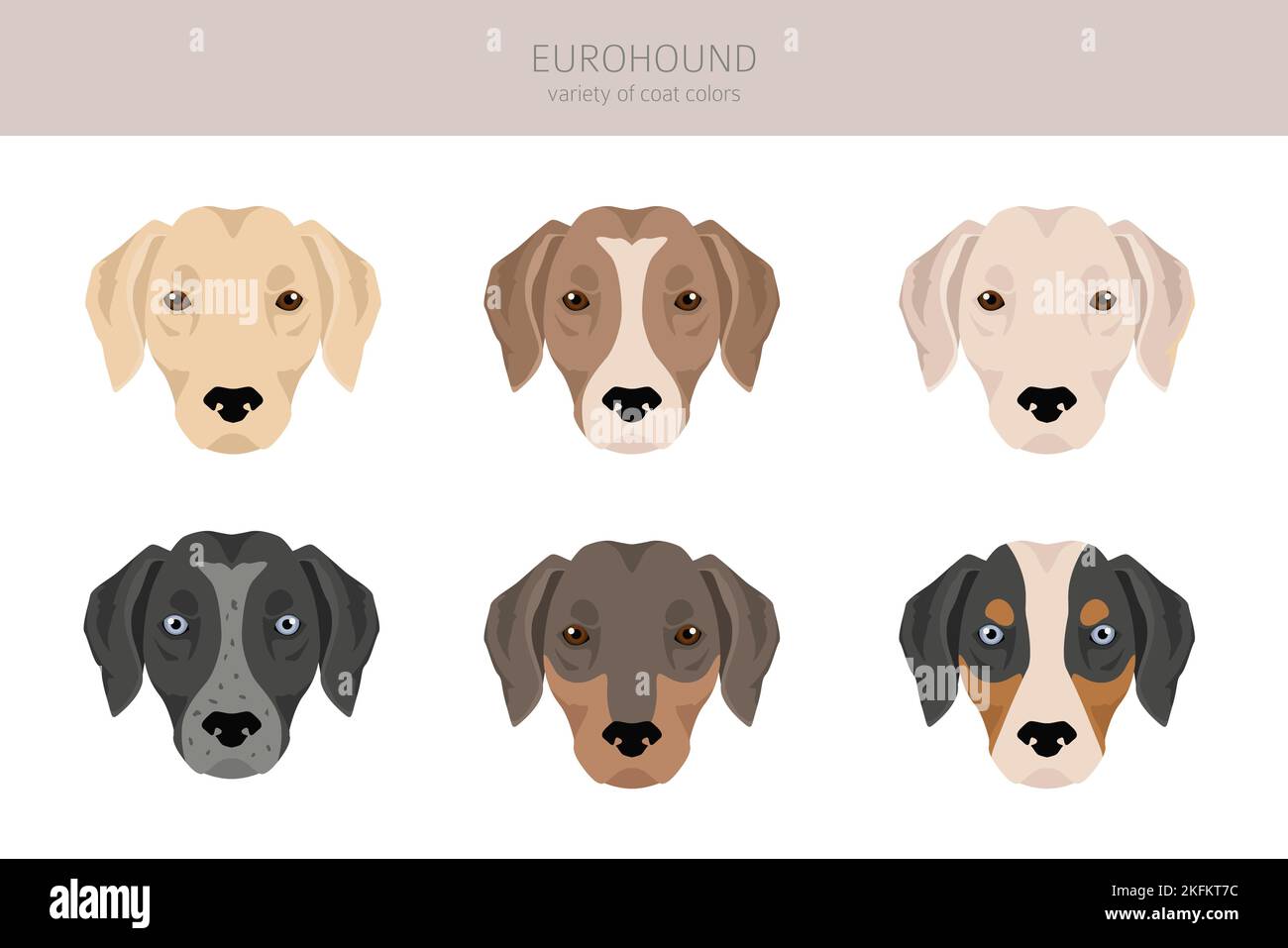 Eurohound clipart. Different coat colors set. Vector illustration Stock ...