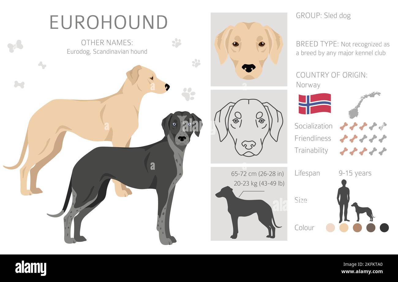 Scandinavian hound Stock Vector Images - Alamy
