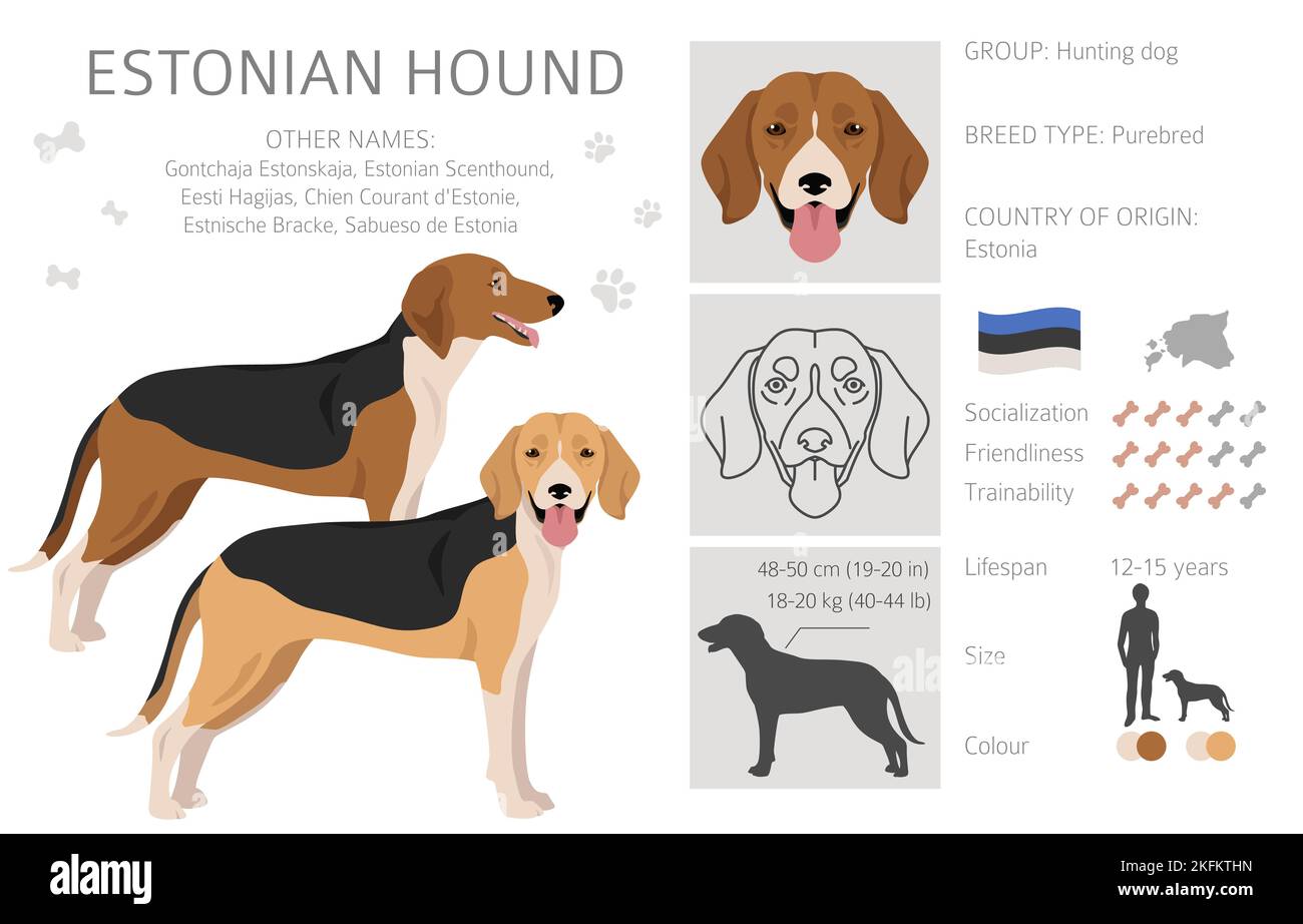 Eesti hagijas Cut Out Stock Images & Pictures - Alamy