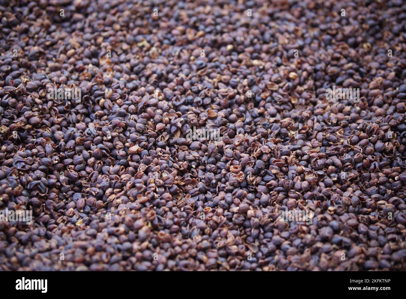 dried coffee bean seed shell drying after peeling texture background ...