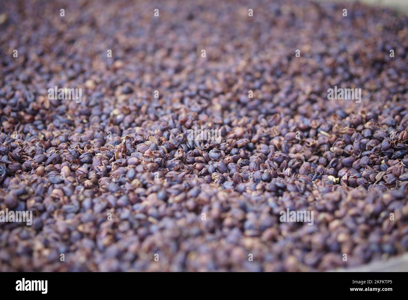 dried coffee bean seed shell drying after peeling texture background ...
