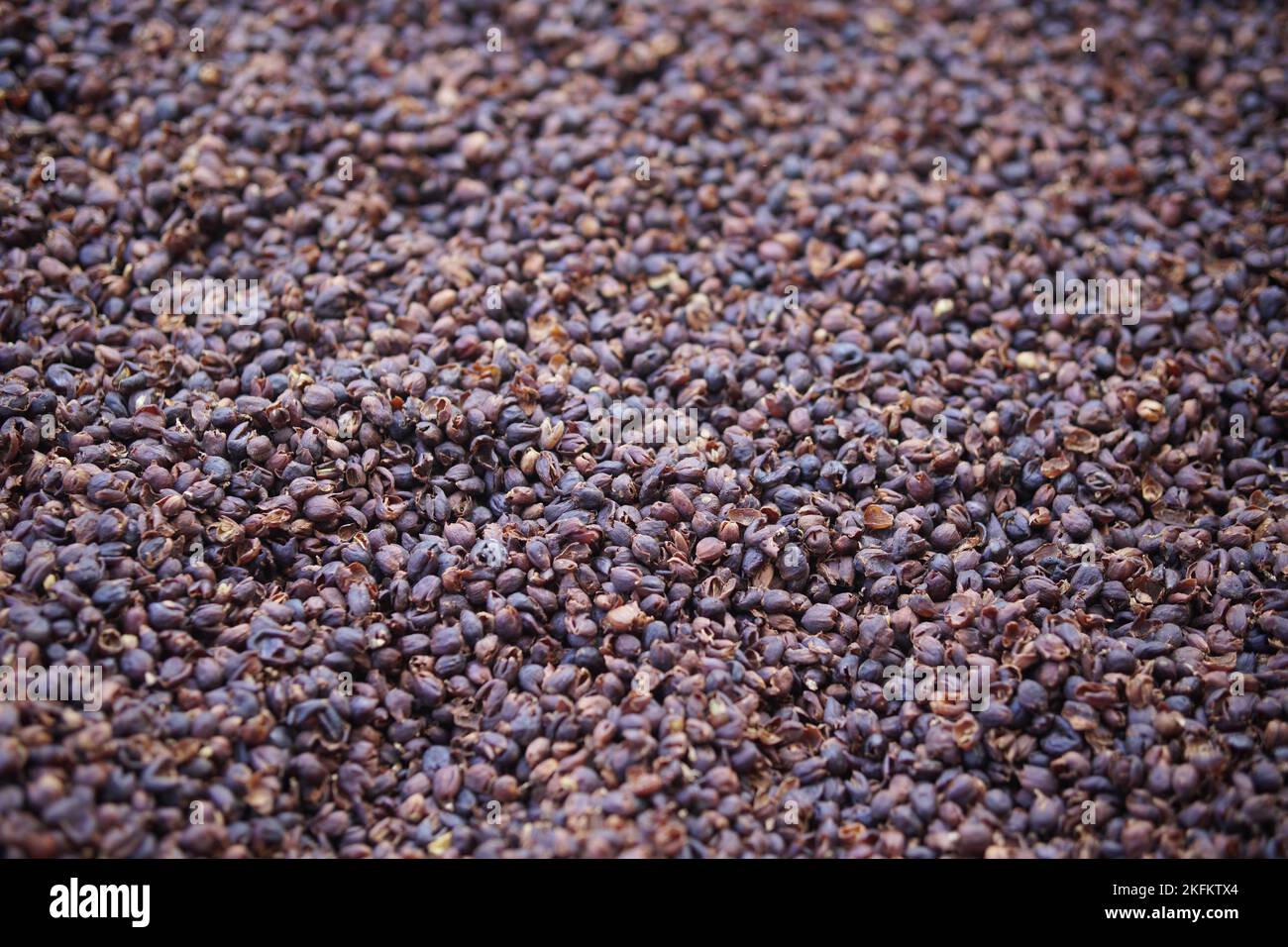 dried coffee bean seed shell drying after peeling texture background ...