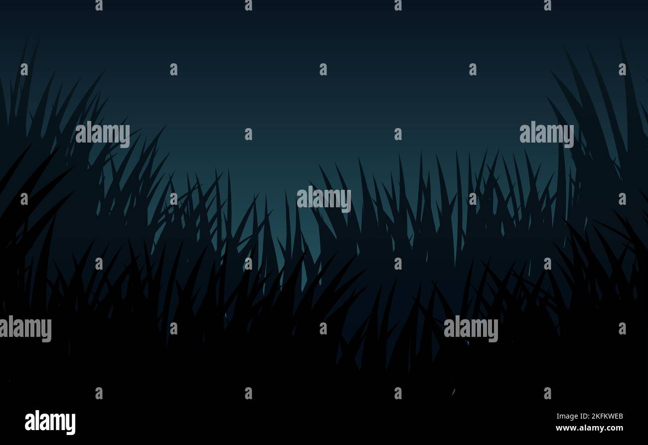 Grass Night. Nature rural landscape. Pasture overgrown. Overgrown dense ...