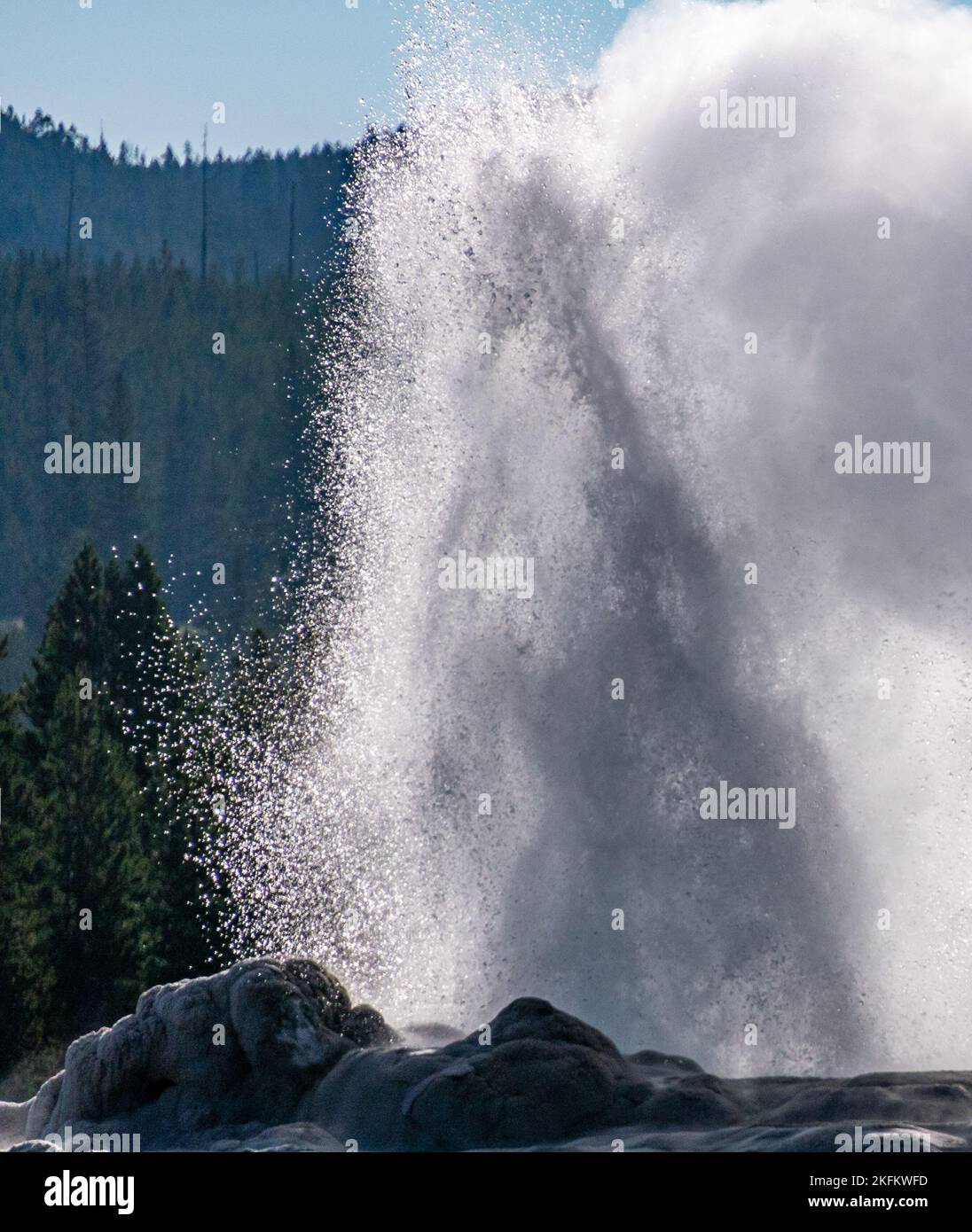 A vertical shot of Geyser Old Faithful exploding, Yellowstone National ...