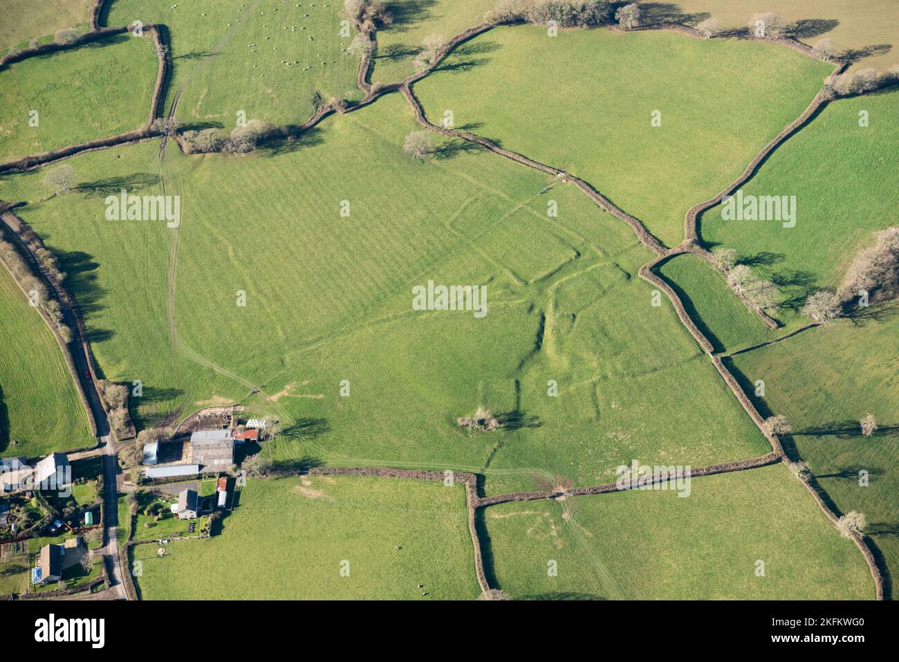 Earthworks of a possible Medieval settlement or farmstead, Dorset, 2019 ...