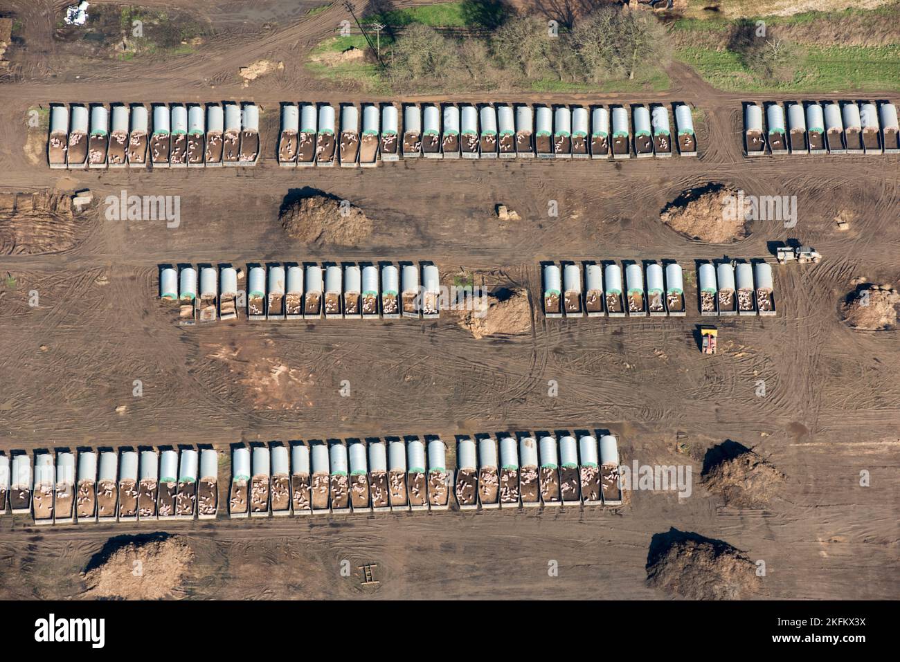 A piggery, West Sussex, 2018 Stock Photo - Alamy
