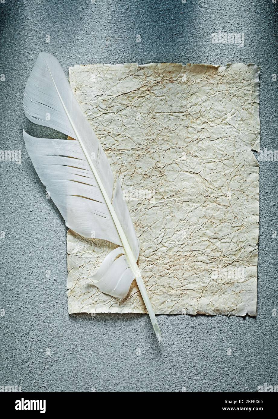 Ancient crumpled paper sheet feather on grey surface Stock Photo - Alamy