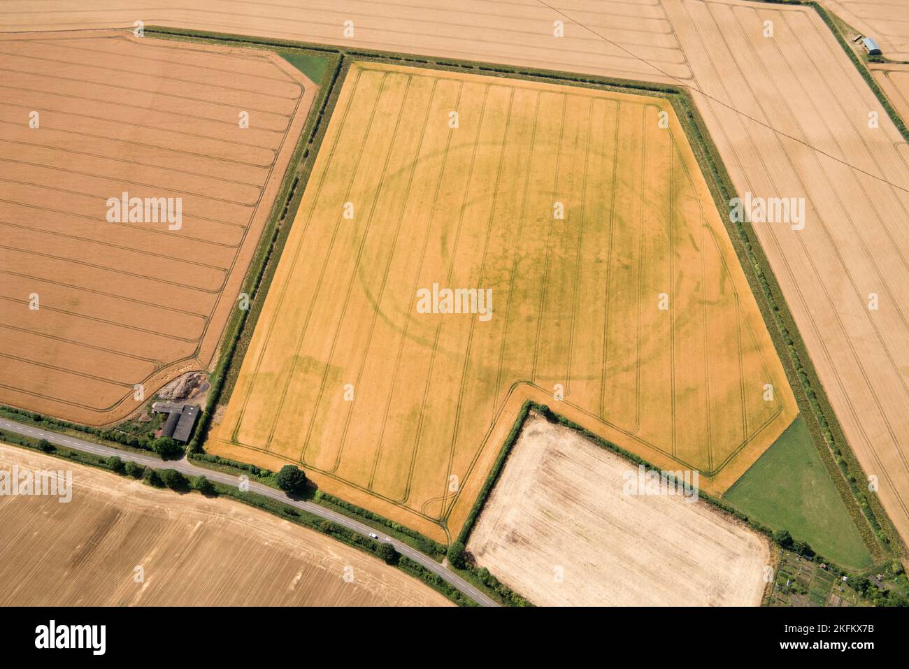 Cropmark remains of a large sub-circular enclosure thought to be a ...
