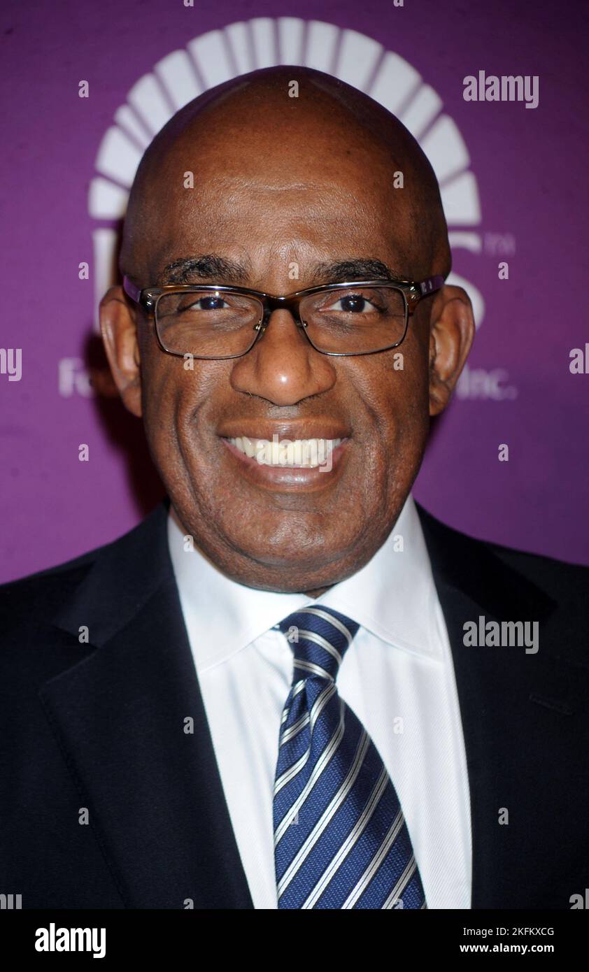 NEW YORK, NY - OCTOBER 11: Al Roker attends the 2011 Lupus Foundations ...