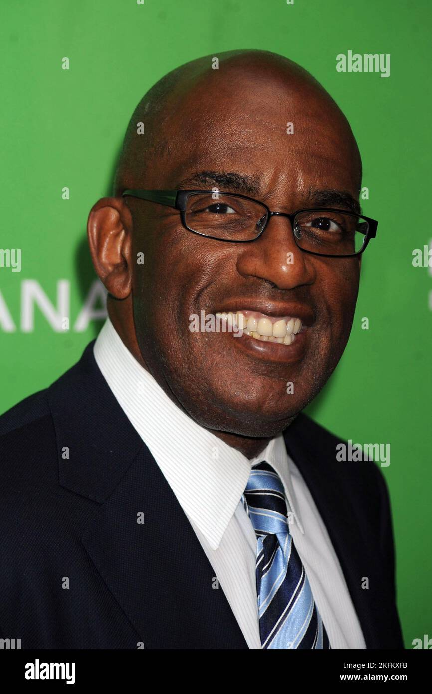 NEW YORK - APRIL 22: Al Roker attends the A Bid to Save the Earth Green ...