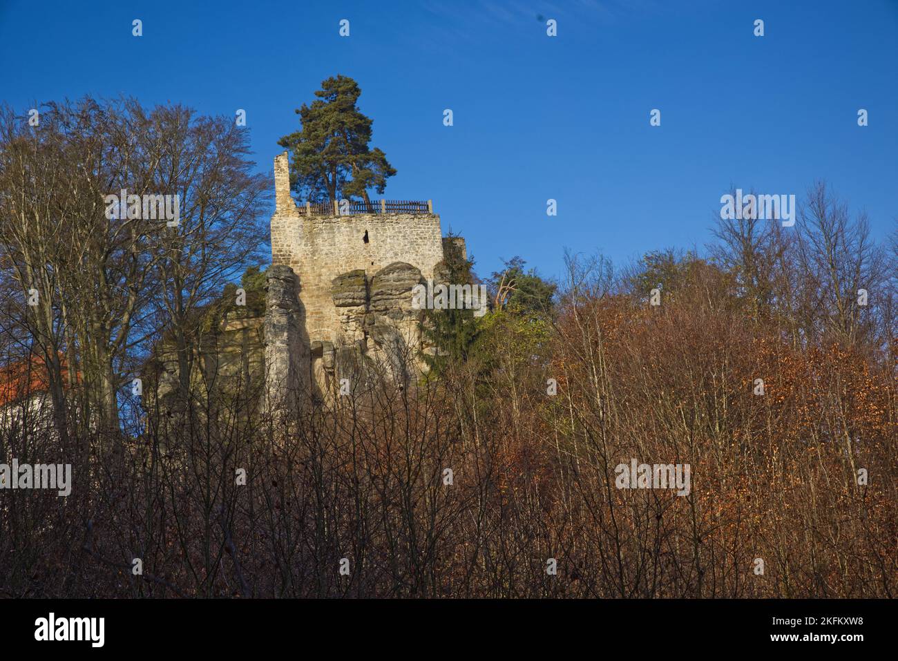 European medieval castle situated in forest in the autumn day, blue sky ...