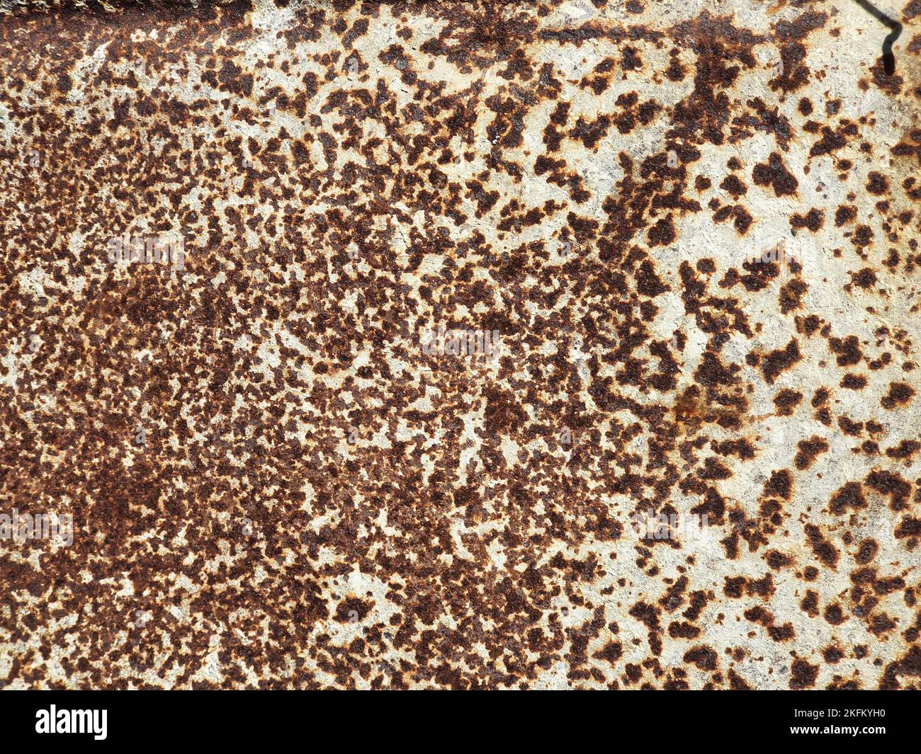 Rusty metal background. White painted metal texture with rust. Rust ...