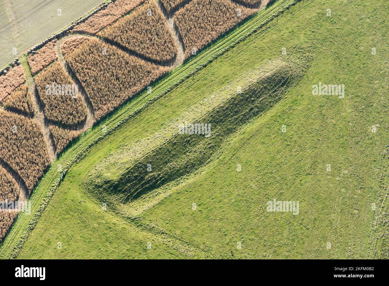 Giant's Grave Long Barrow on Fyfield Down, Wiltshire, 2017 Stock Photo ...