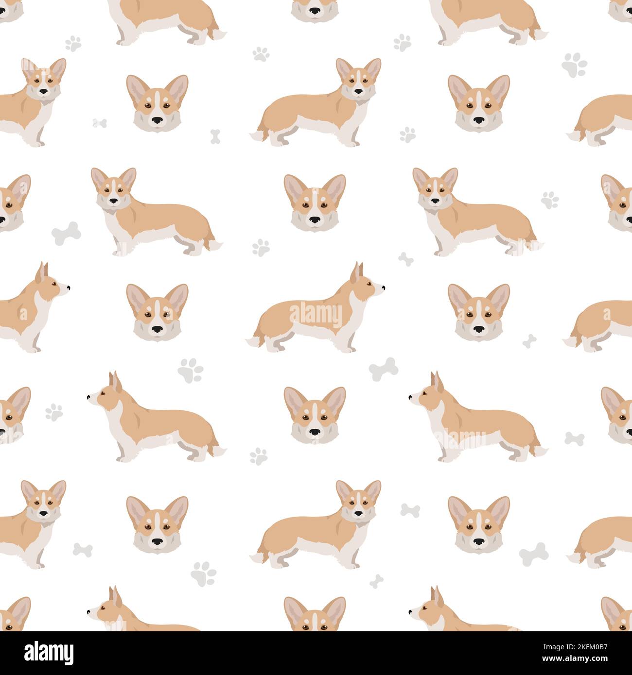 Welsh corgi cardigan seamless pattern. Different poses, coat colors set ...