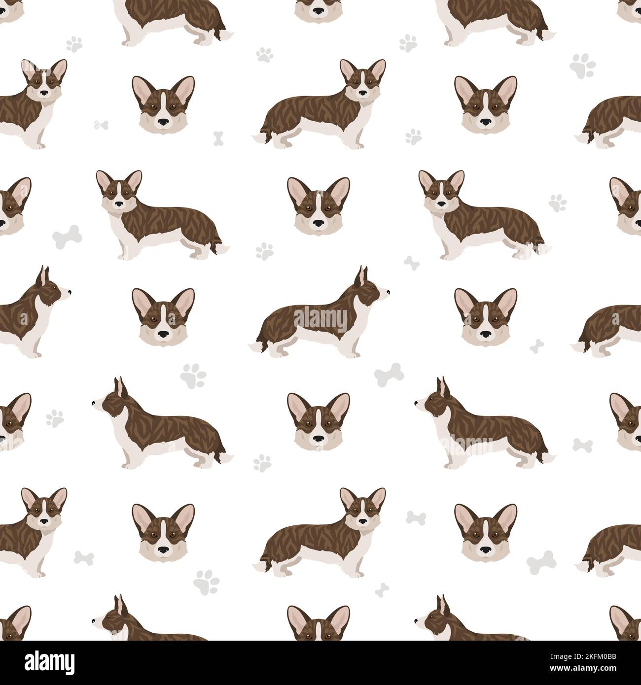 Welsh corgi cardigan seamless pattern. Different poses, coat colors set ...