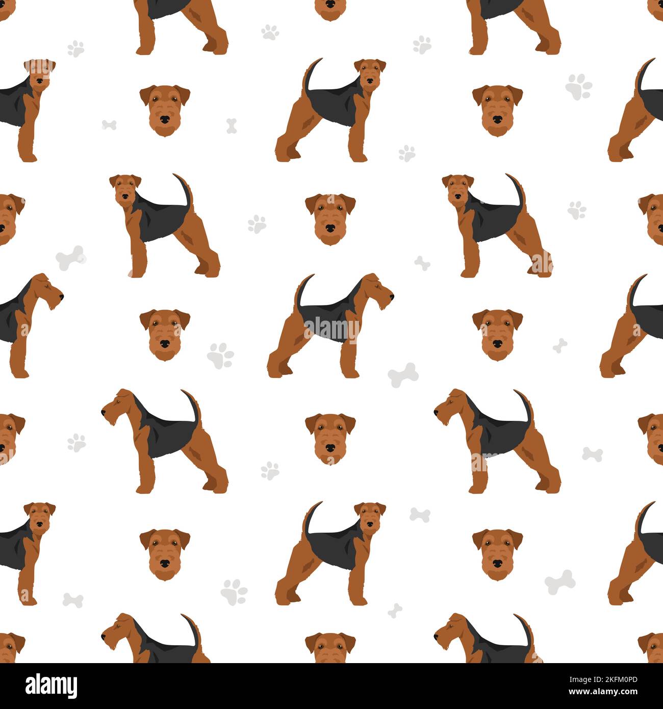 Welsh terrier seamless pattern. Different poses, coat colors set ...