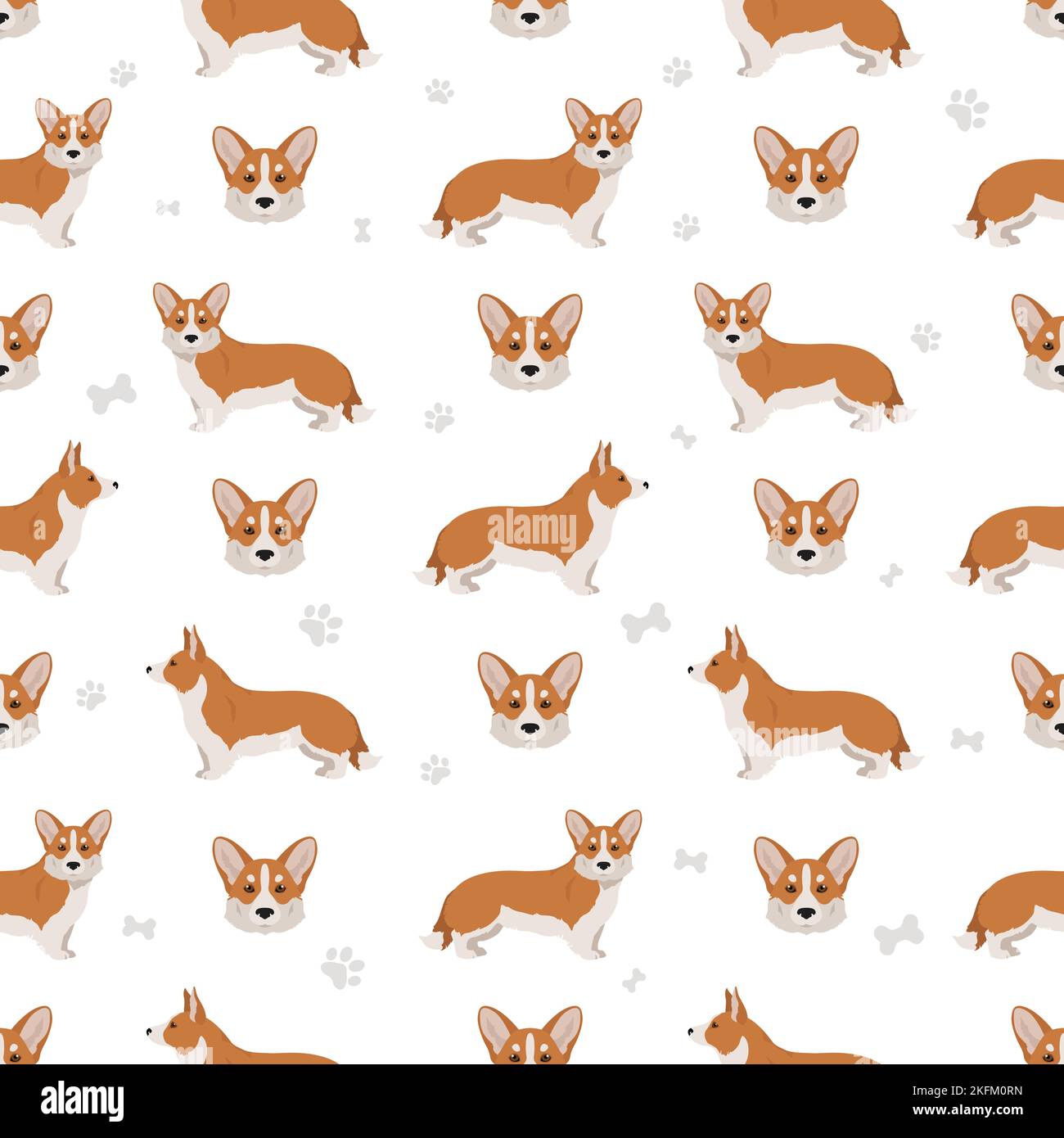 Welsh corgi cardigan seamless pattern. Different poses, coat colors set ...