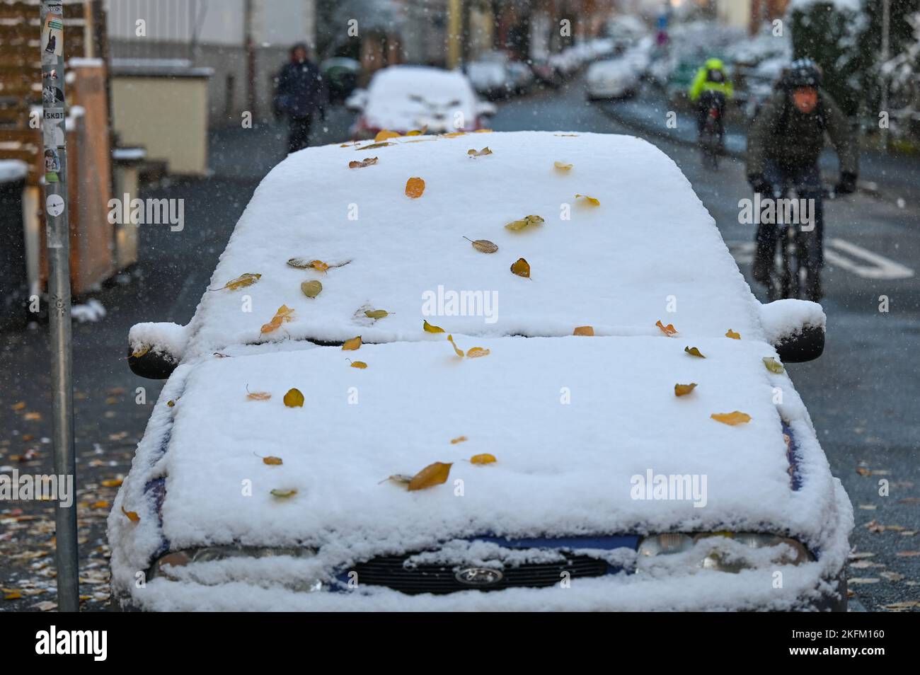 19 November 2022, Hessen, Kassel: Fresh snow and freshly fallen leaves ...