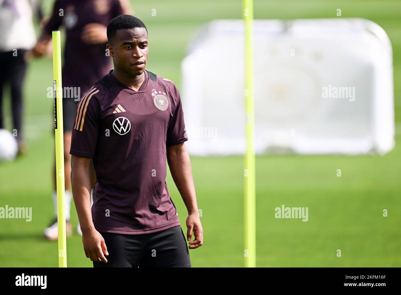 Al Ruwais, Qatar. 19th Nov, 2022. Preparation for the World Cup in ...