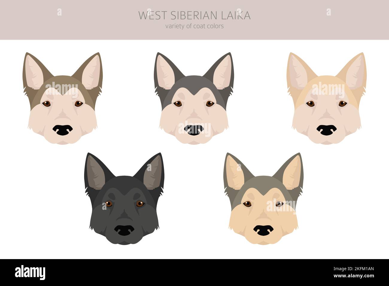 West Siberian Laika clipart. All coat colors set. All dog breeds ...