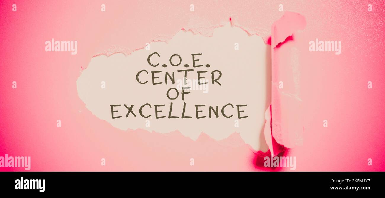 Text sign showing C.O.E. Center Of Excellence. Business overview being ...