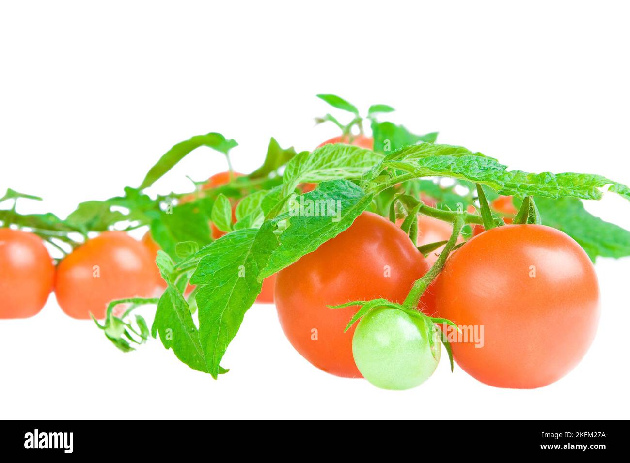 composition of tomato and leaves of tomato Stock Photo - Alamy