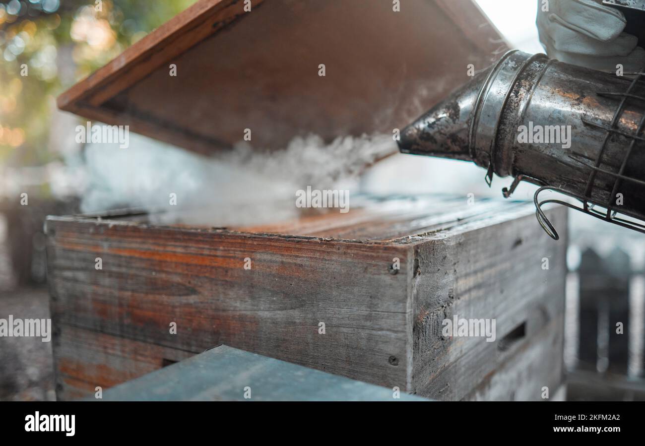 Smoke, beekeeping and agriculture with a wood box and bee smoker for ...
