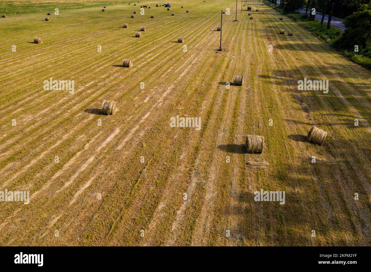 Harvesting hay for the winter, fodder for cattle, round bales in the ...
