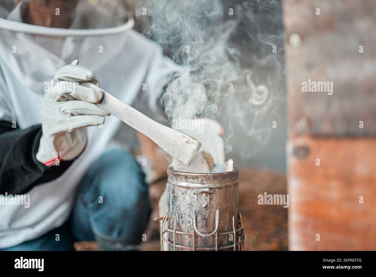 Beekeeper, hands and smoker at bee farm for smoking bees. Beekeeping ...