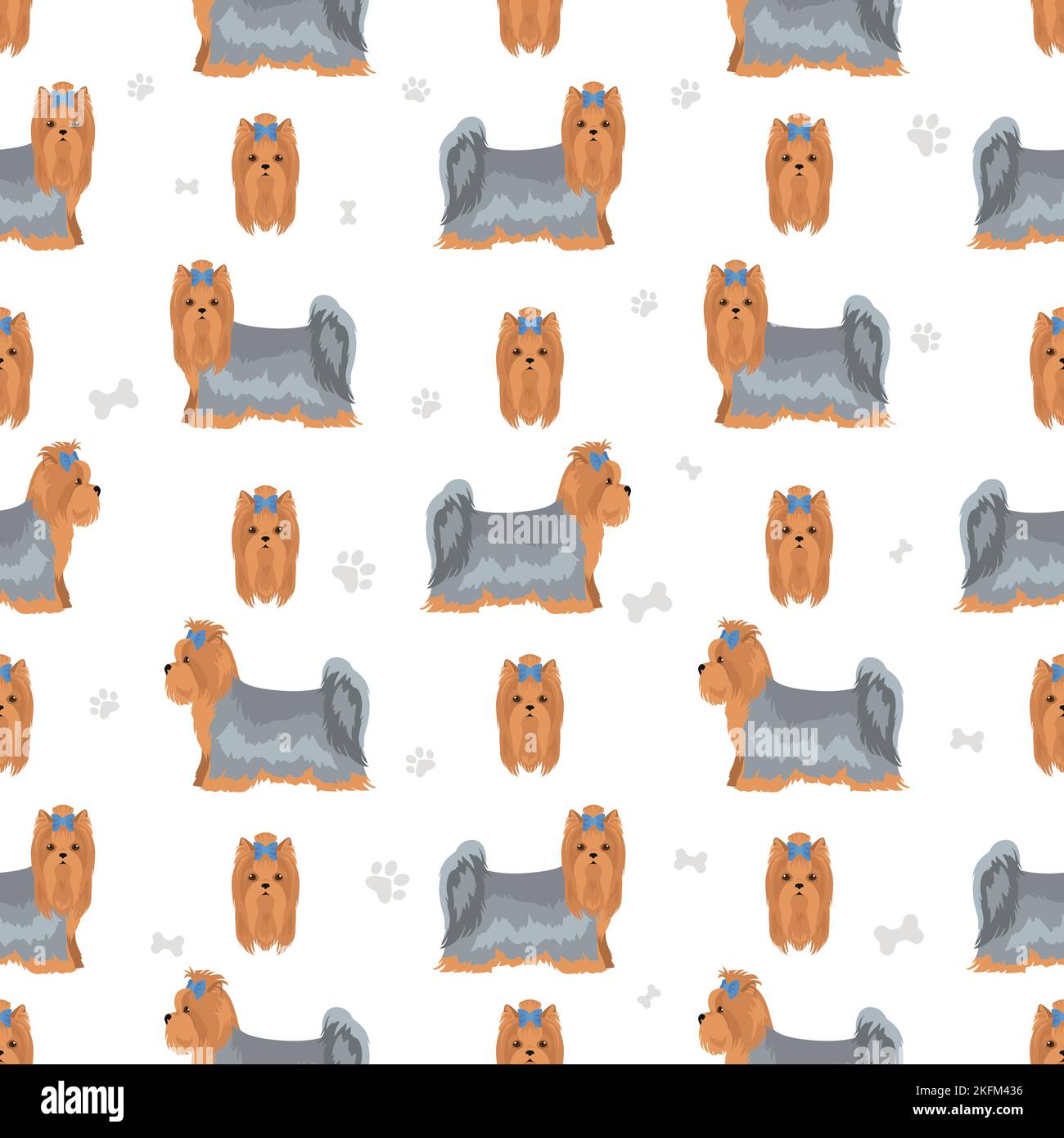 Yorkshire Terrier seamless pattern. Different poses, coat colors set ...