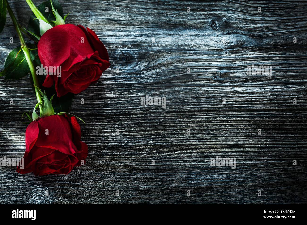 Expanded red roses on wooden board copy space Stock Photo - Alamy