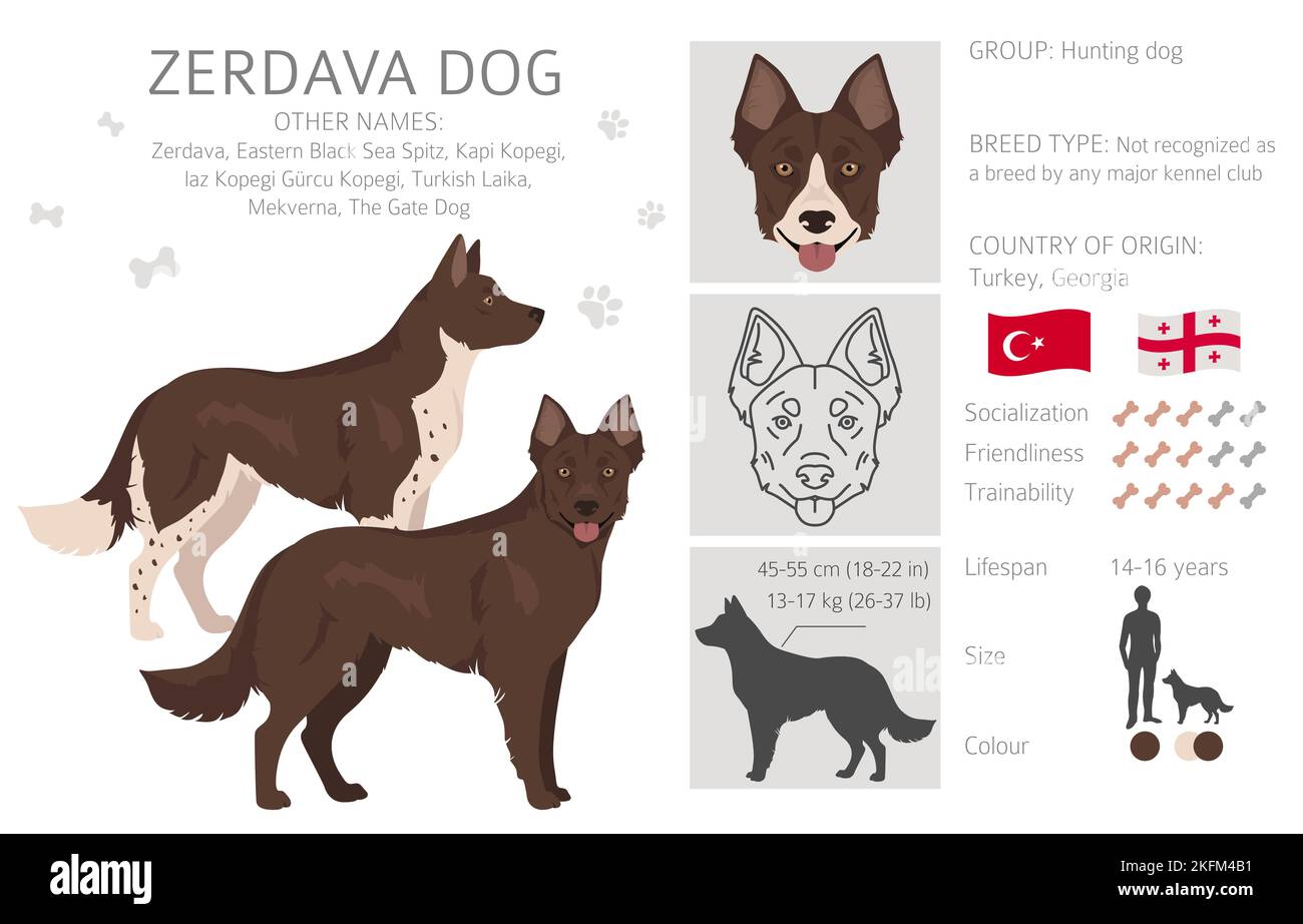 Zerdava dog clipart. All coat colors set. All dog breeds ...