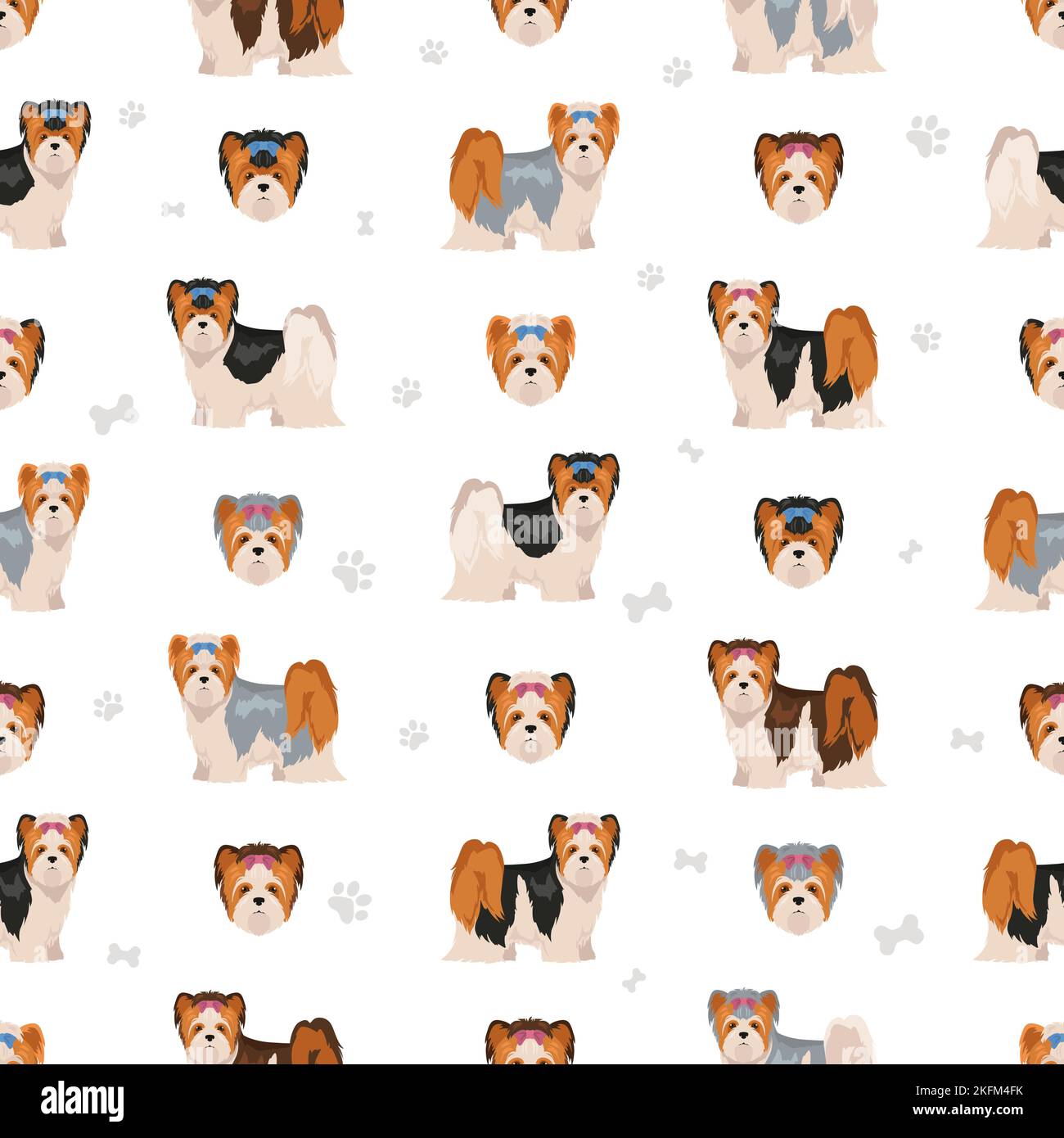 Biewer Yorkshire Terrier seamless pattern. Different poses, coat colors ...