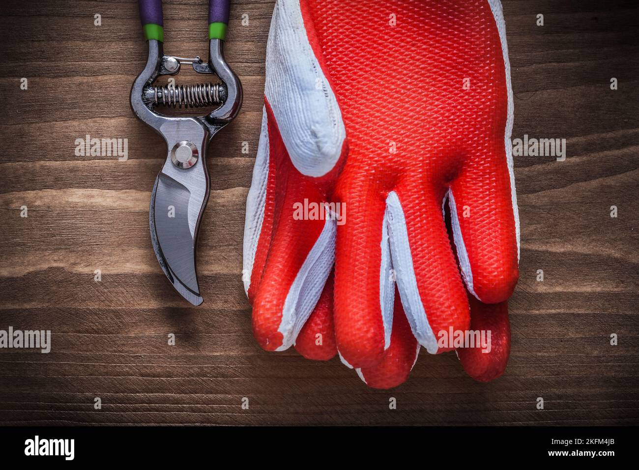 Gardening glove and sharp garden pruner agriculture concept Stock Photo ...