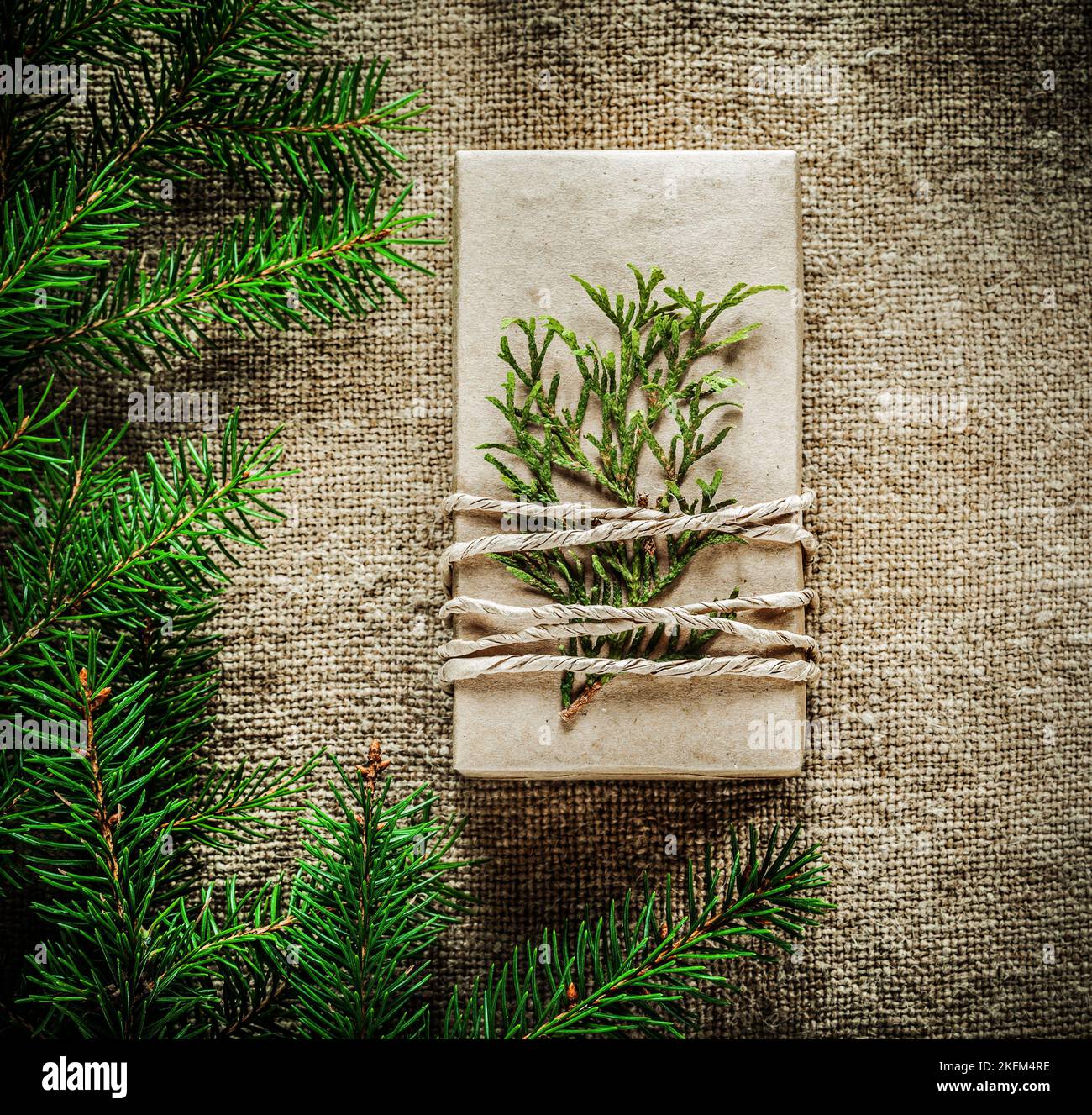 Gift box thuya fir tree branch on bagging background Stock Photo - Alamy