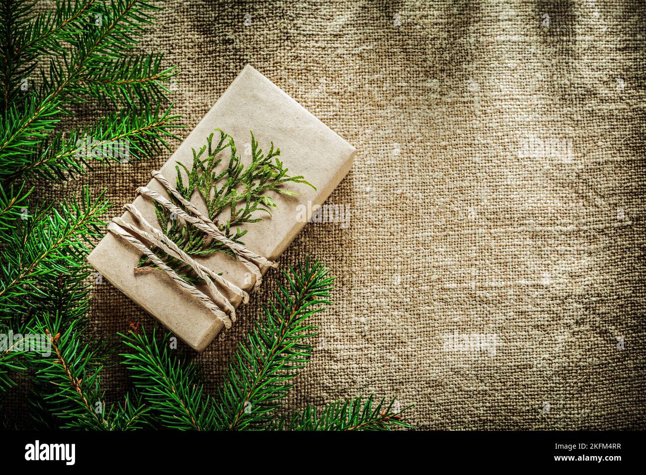 Gift box thuya pine tree branch on bagging background Stock Photo - Alamy