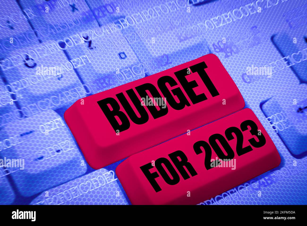 Text sign showing Budget For 2023. Business showcase An written ...