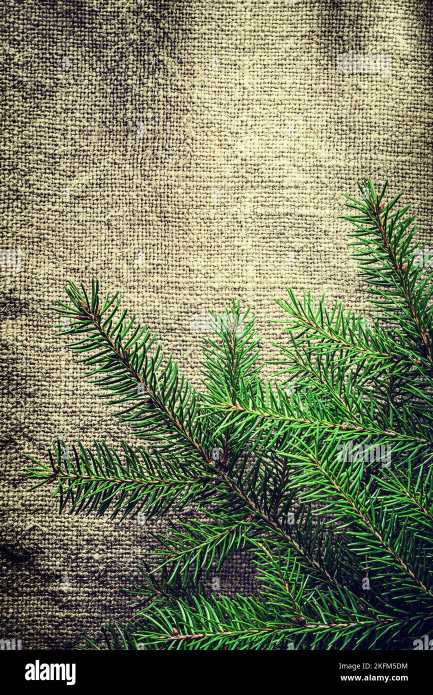 Green fir tree branches on bagging background Stock Photo - Alamy