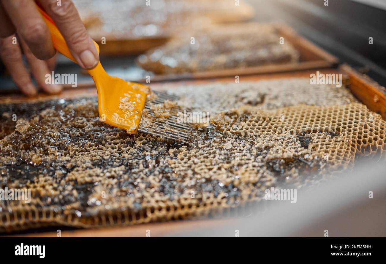 Honey, frame and closeup of scrape tools for bee farming, agriculture ...